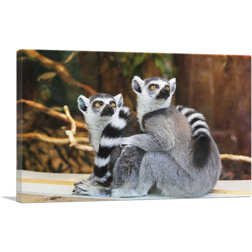 ARTCANVAS Lemurs Home Decor Canvas Art Print - Wayfair Canada