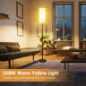 Wrought Studio™ Lawonda 74.8in Tall Floor Lamp 3200K Warm Yellow Light ...