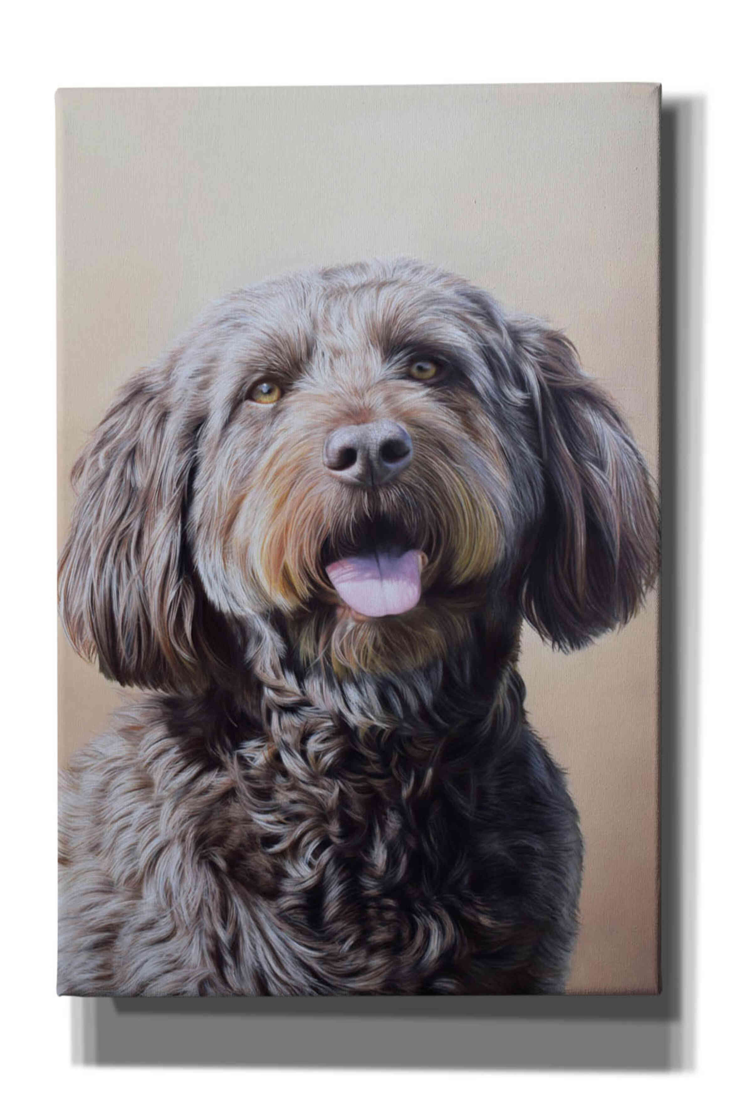 Latitude Run® Daisy' by Sam Dolman Wrapped Canvas Photograph | Wayfair