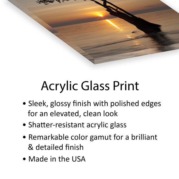 Ebern Designs Sunset Silhouette On Plastic/Acrylic by Aaron Matheson ...