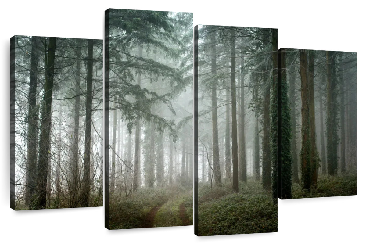 Millwood Pines Alvord Winter Sweet Forest | Wayfair