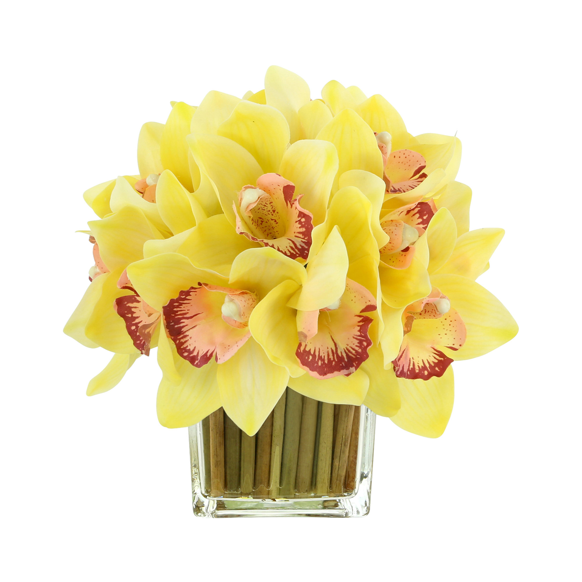 Primrue Orchids Arranged in Bamboo-Filled Glass Vase | Wayfair
