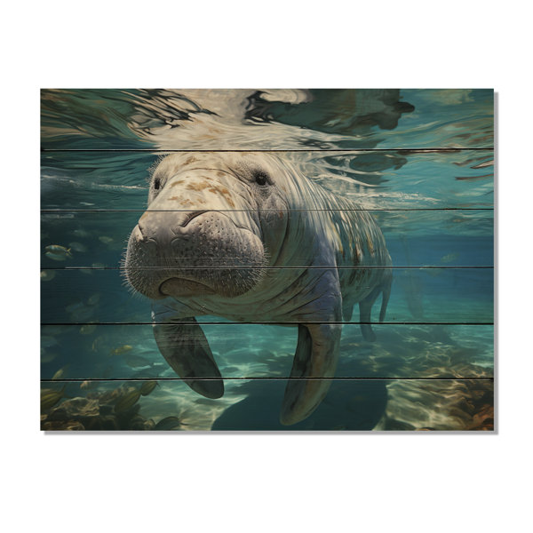 Highland Dunes Turquoise Gray Manatee Majesty On Wood Print | Wayfair