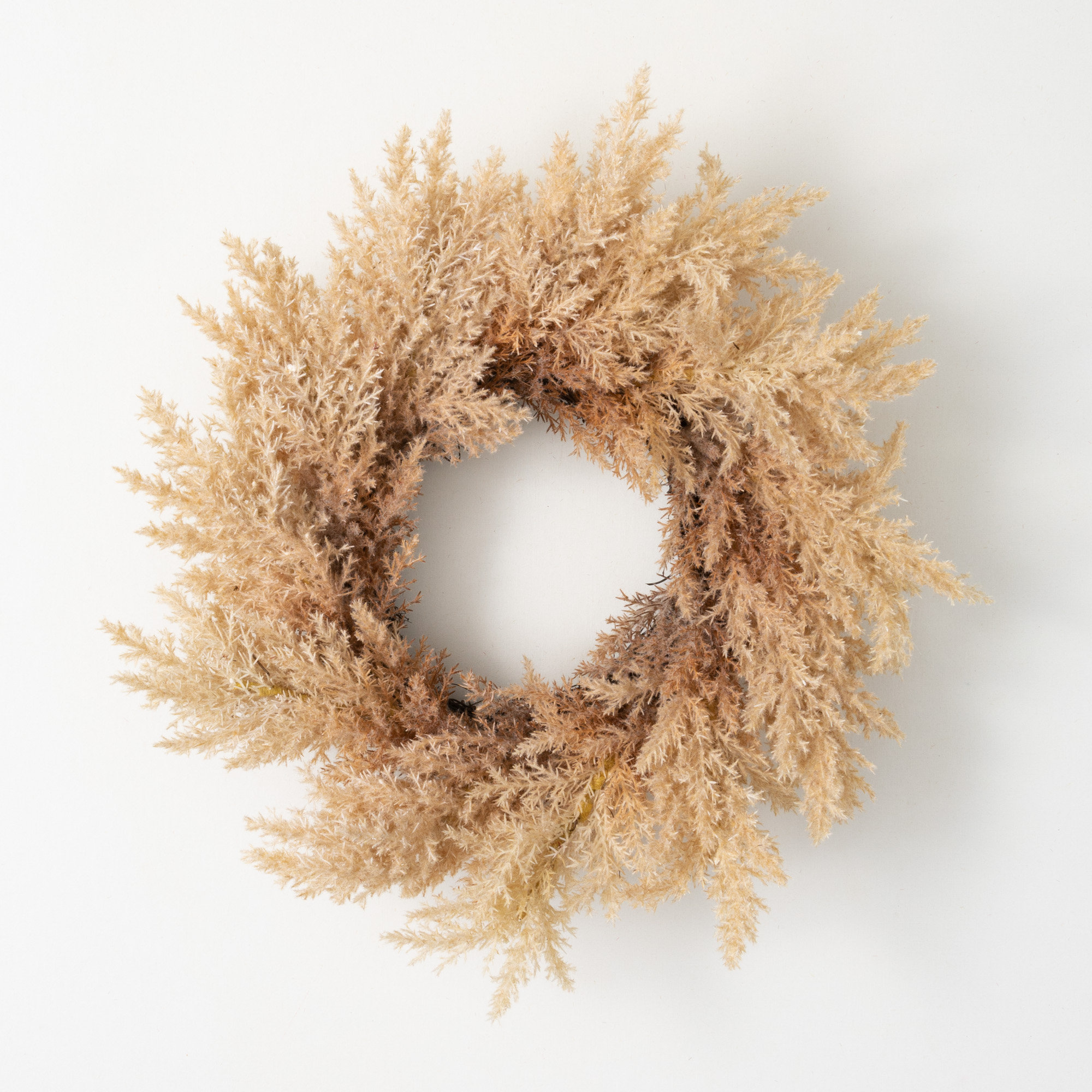 The Twillery Co. Reed 22" PVC Wreath - Wayfair Canada