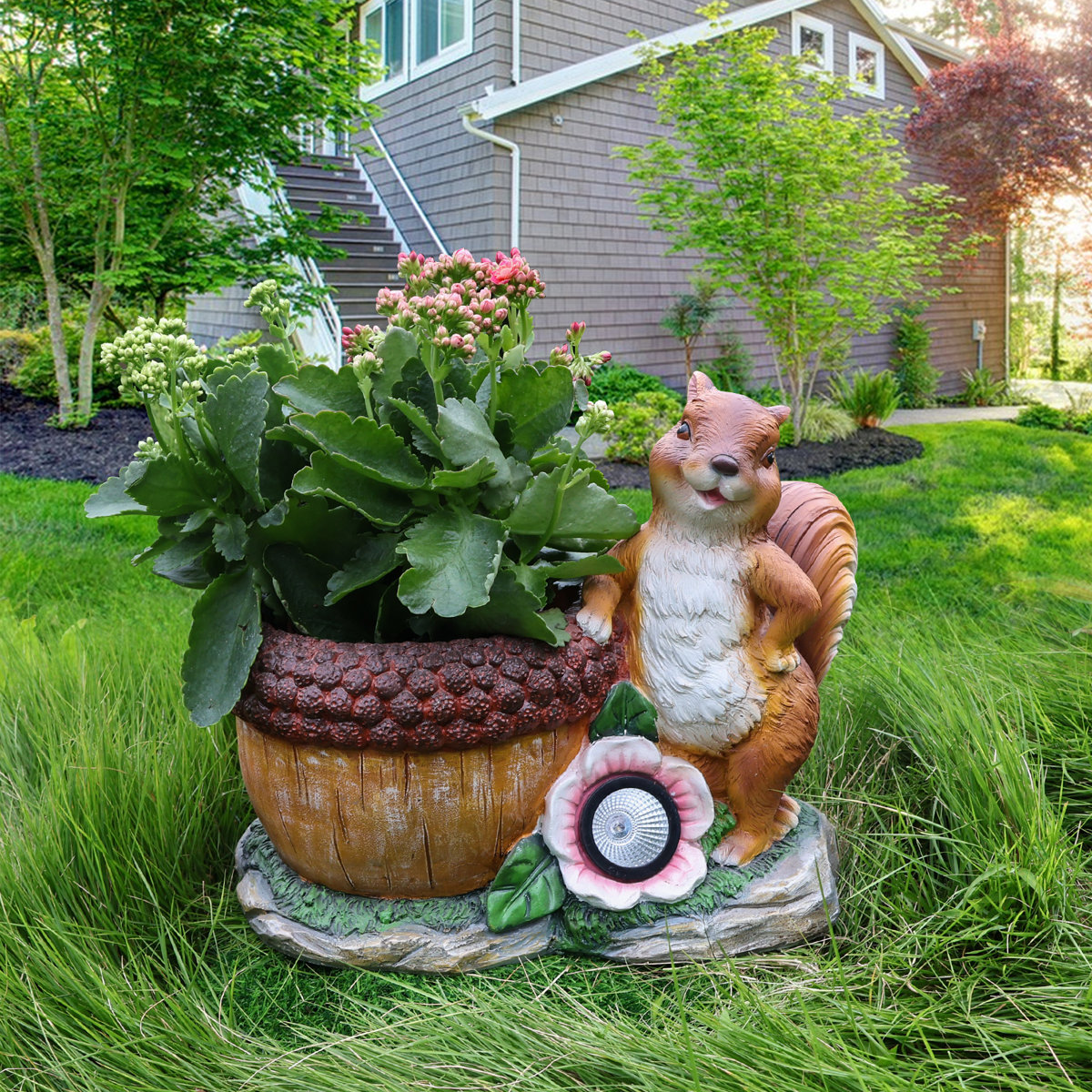 Millwood Pines Outdoor Solar Squirrel Statue Planter – Pinecone Pot ...