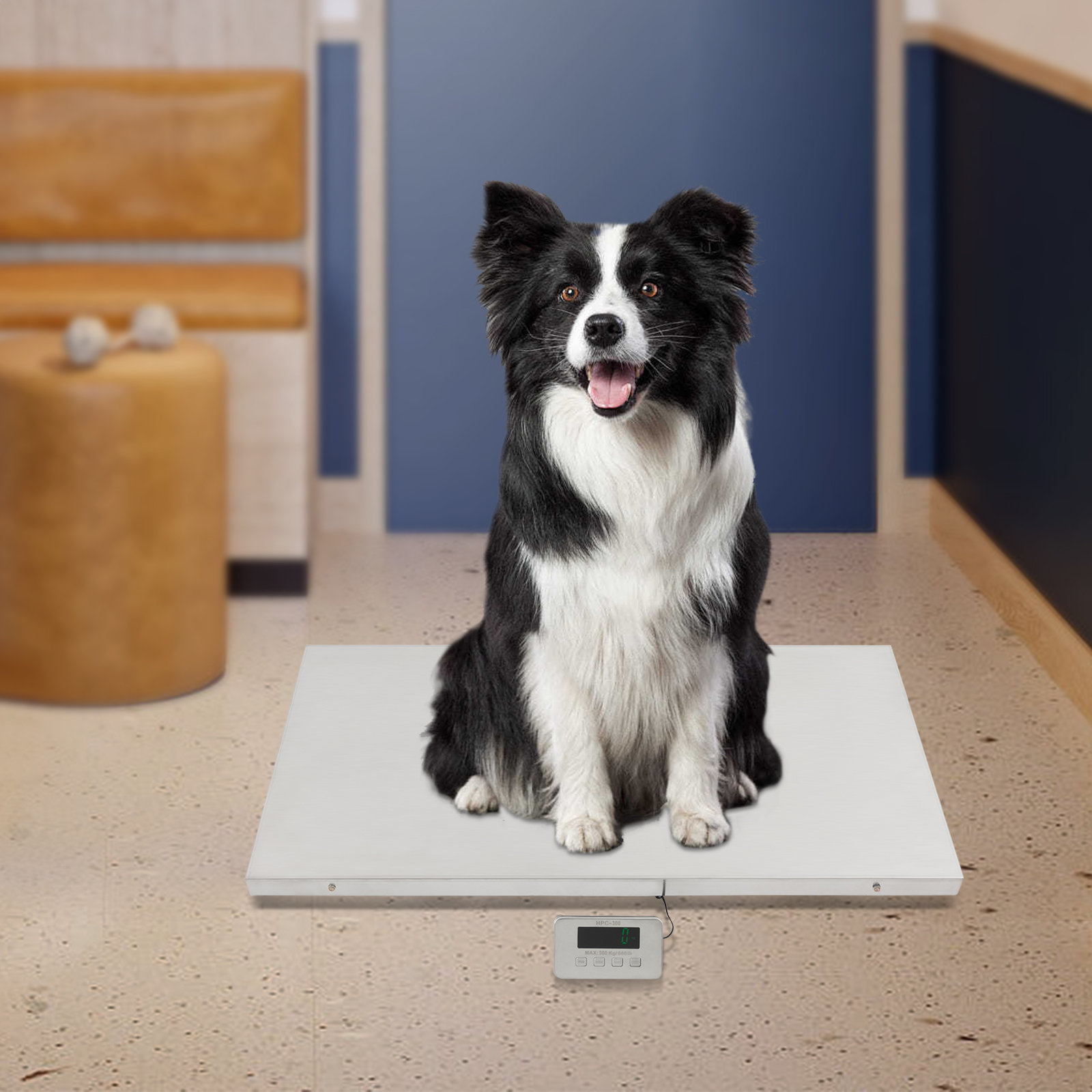 YaoTown Electronic Pet Scale Stainless Steel Digital Heavy Duty ...