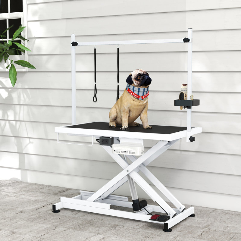 Balconera Electric Dog Grooming Table | Wayfair
