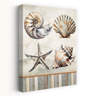 Dovecove Cape Cod Shores Seashells - Coastal Coastal Shells Seashells ...