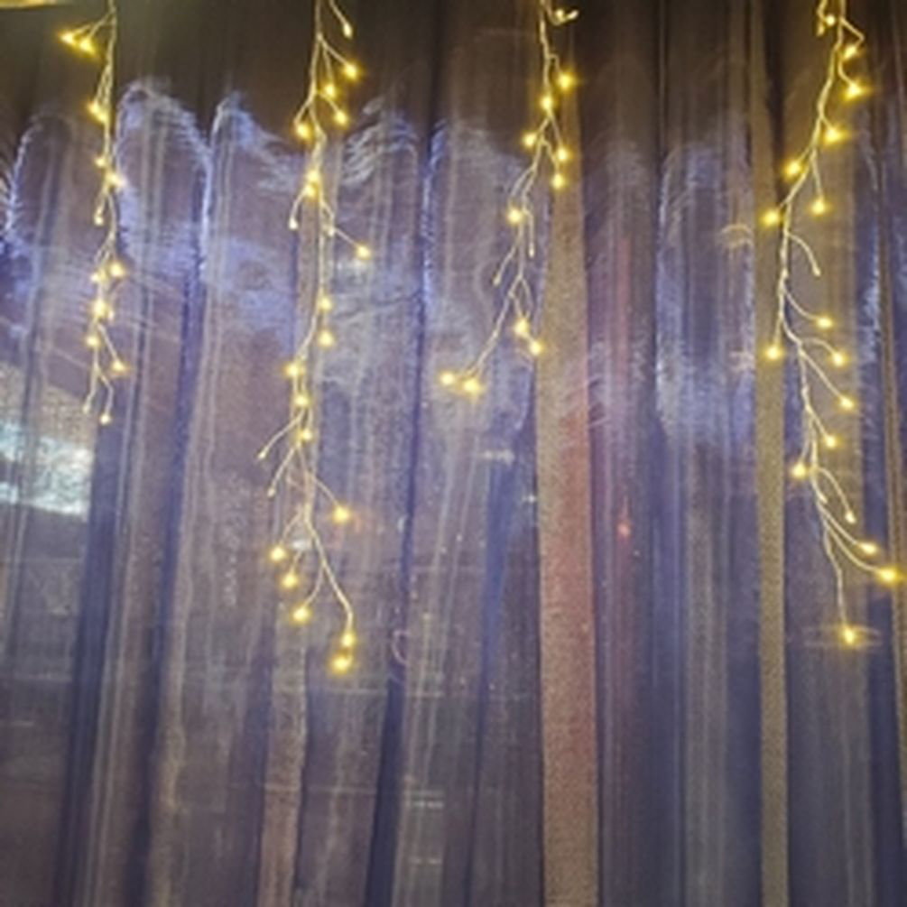 The Holiday Aisle® Micro Dot Curtain 240 Light String Light | Wayfair