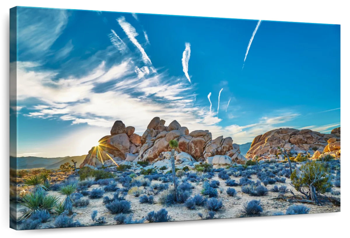 Elephant Stock Joshua Tree Park Rock Formations | Wayfair