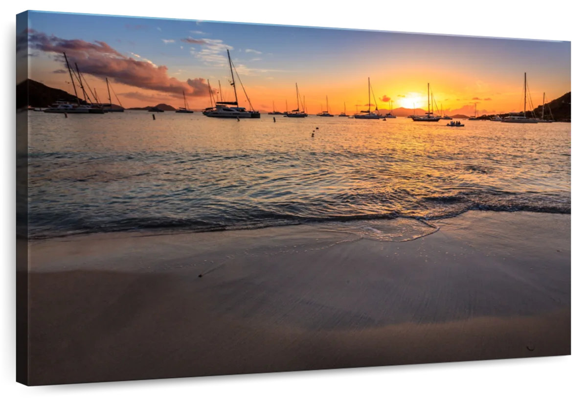 Elephant Stock BVI Beach Scenery | Wayfair