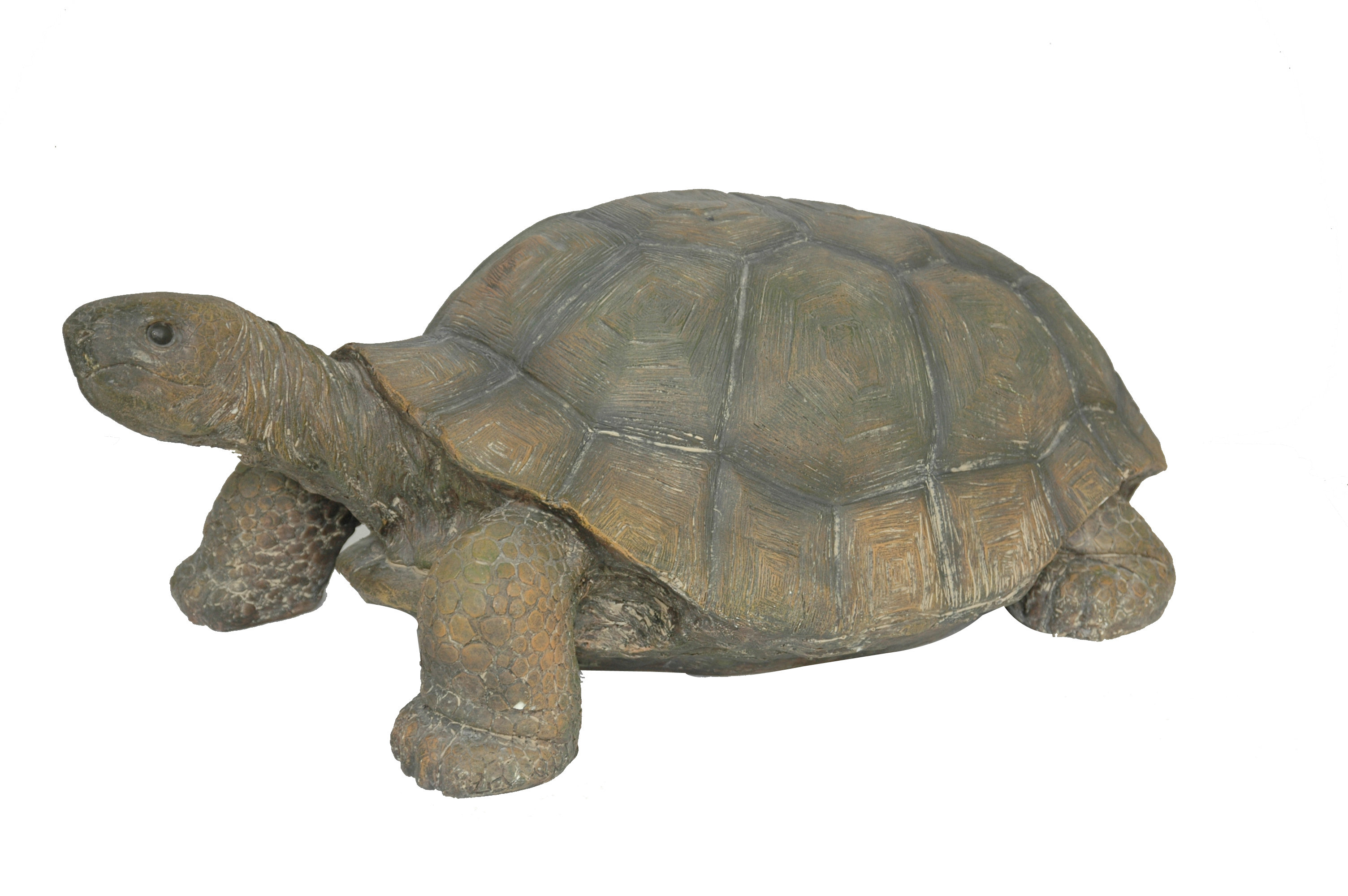 Hi-Line Gift Ltd. Large Turtle Statue & Reviews | Wayfair
