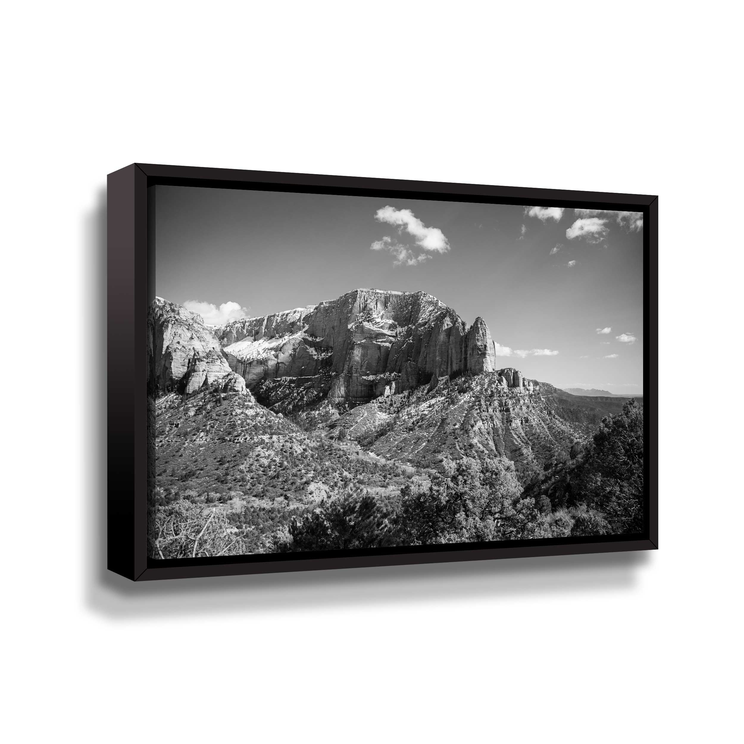 Loon Peak® Timber Top Gallery Wrapped Floater-Framed Canvas | Wayfair