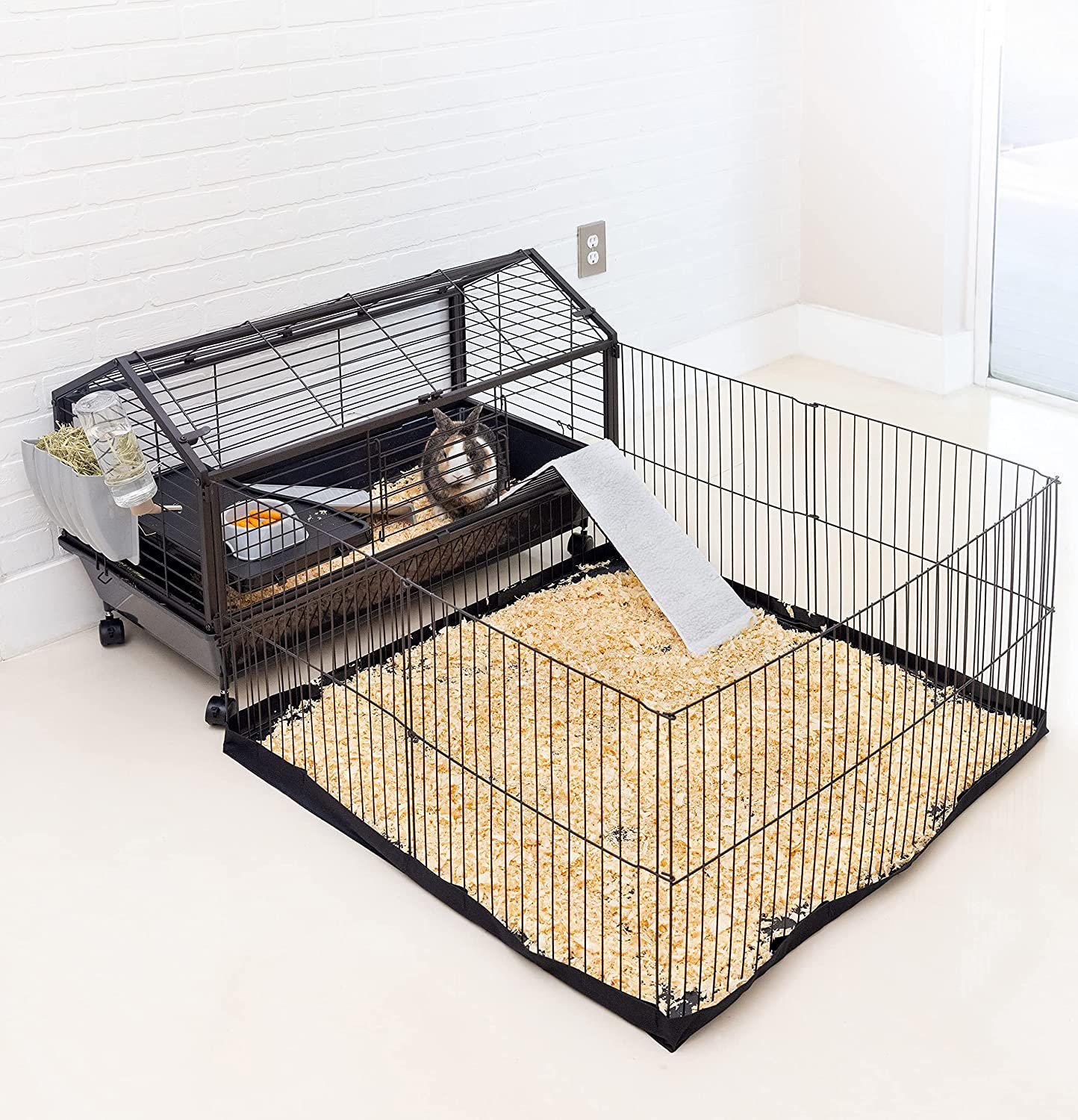 Tucker Murphy Pet™ Dayeli Small Animal | Wayfair