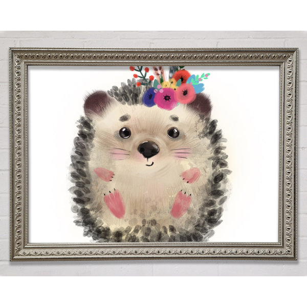 Bright Star The Curled Up Hedgehog - Single Picture Frame Art Prints ...