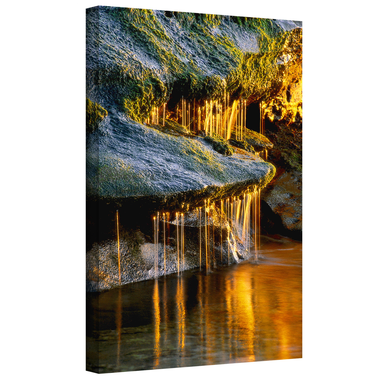 ArtWall 'Dripping Sunlight' by Dean Uhlinger Photographic Print on ...