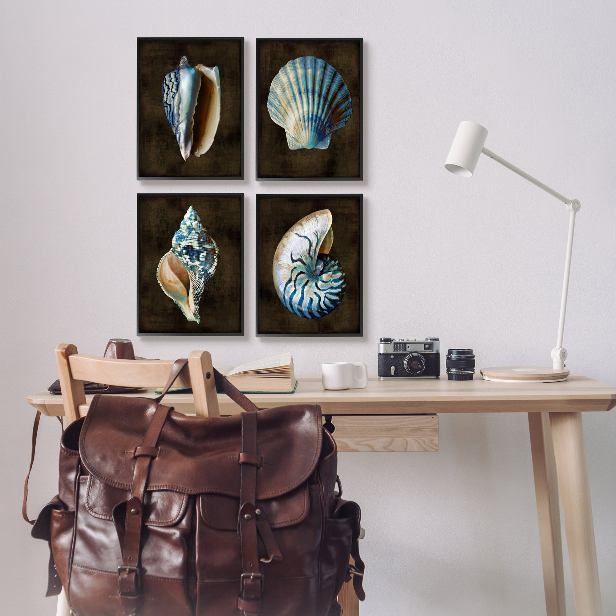 Stupell Industries Seashells On Black 4 Pieces by Caroline Kelly | Wayfair