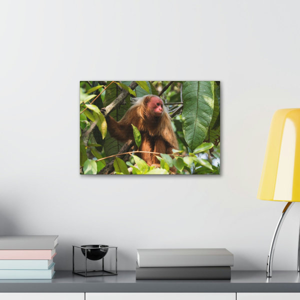 Latitude Run® Majestic Uakari Art Majestic Uakari Print Animal Wall Art ...