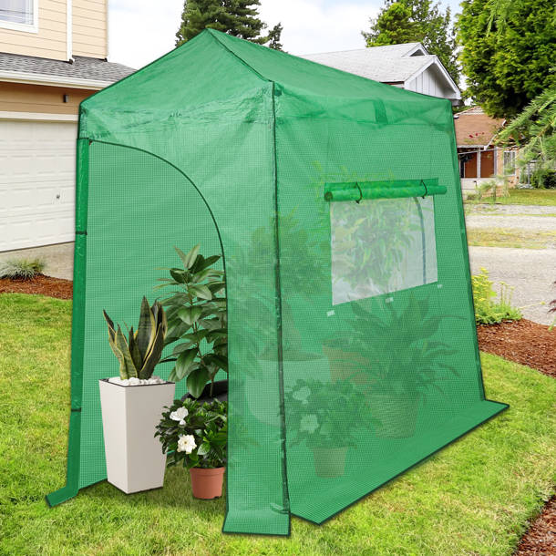 EAGLE PEAK Pop Up Greenhouses Pop Up 8' W x 6' D Hobby Greenhouse ...