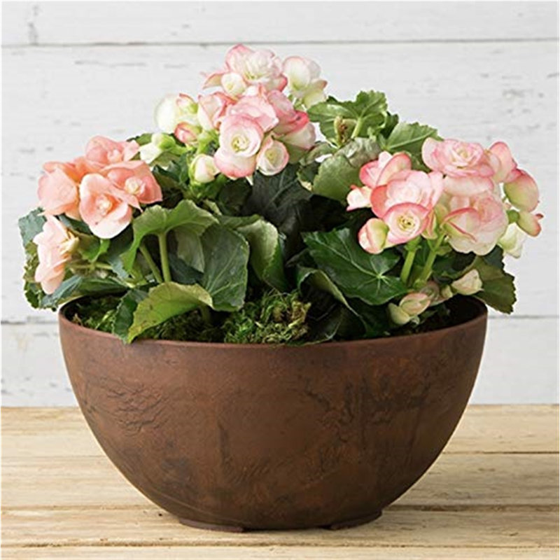 Ebern Designs Paraic Pot Planter | Wayfair