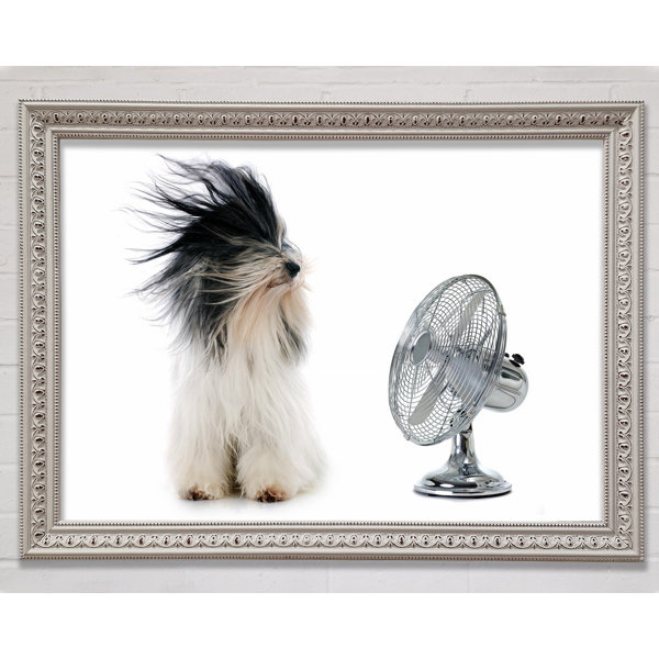 Bright Star Old English Sheepdog Cooling Off - Single Picture Frame Art ...
