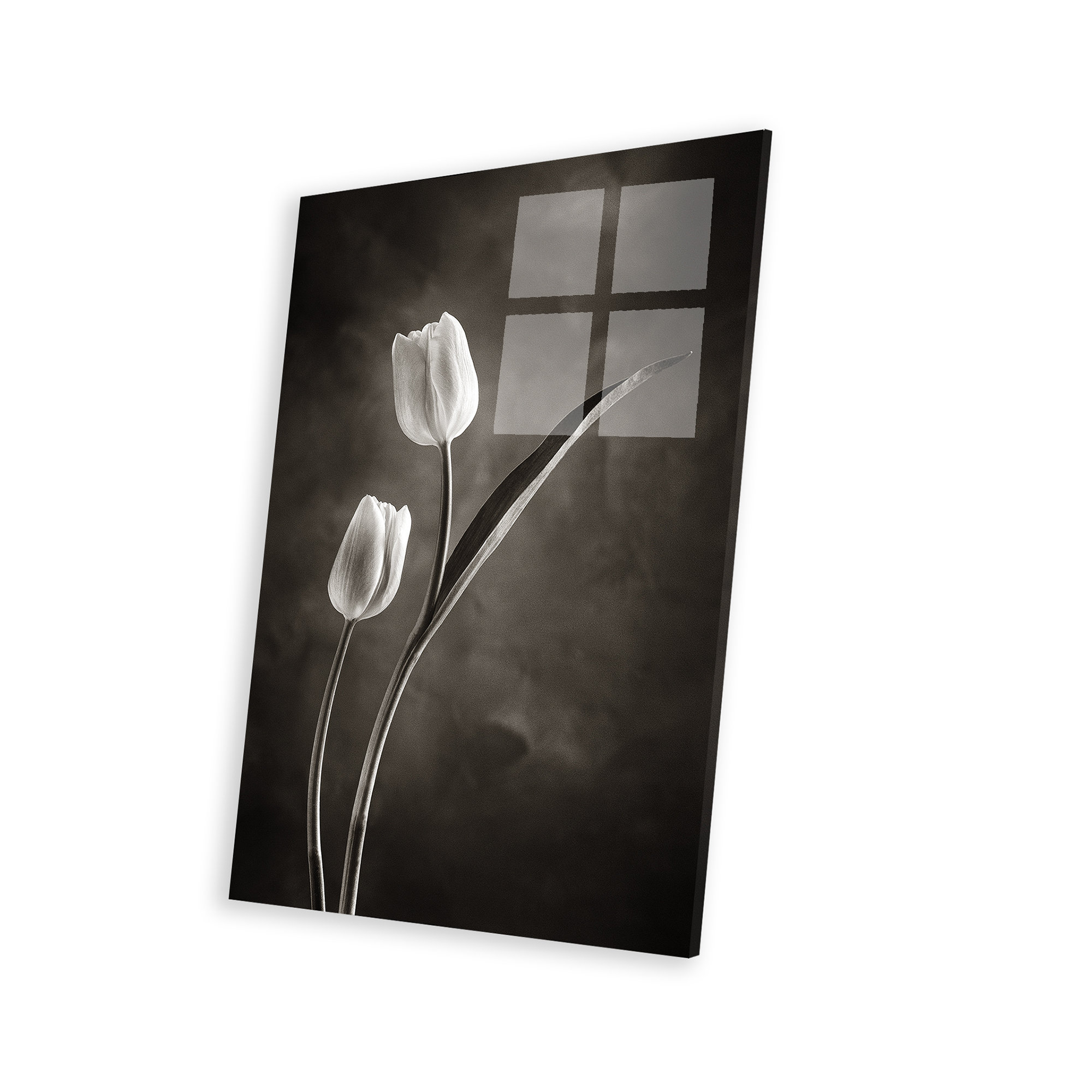 Latitude Run® Ilesha Two-tone Tulips IV by Debra Van Swearingen | Wayfair