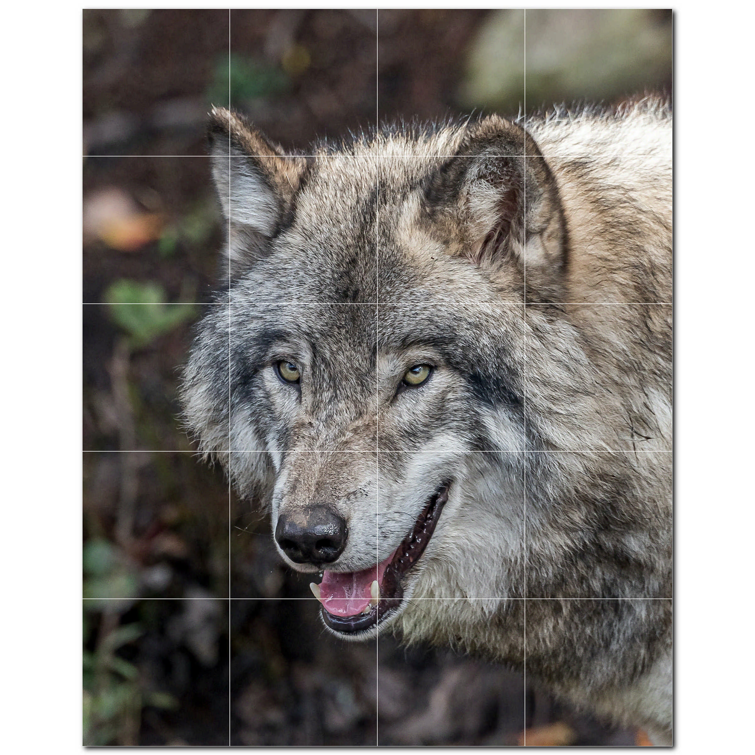 Picture-Tiles.com 48" x 60" Ceramic Wolf Photo Decorative Mural Tile ...