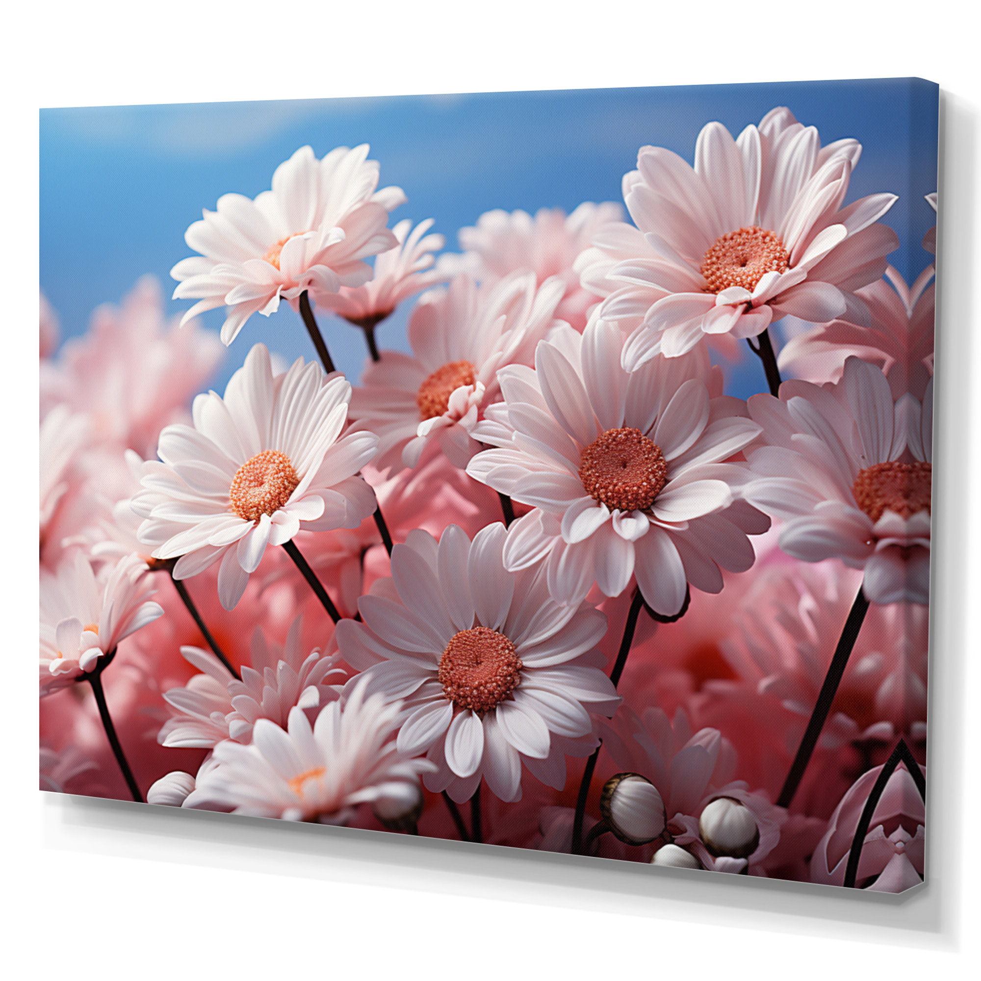 Wildon Home® Attahrawi Pink Whispering Daisies I - Print - Wayfair Canada