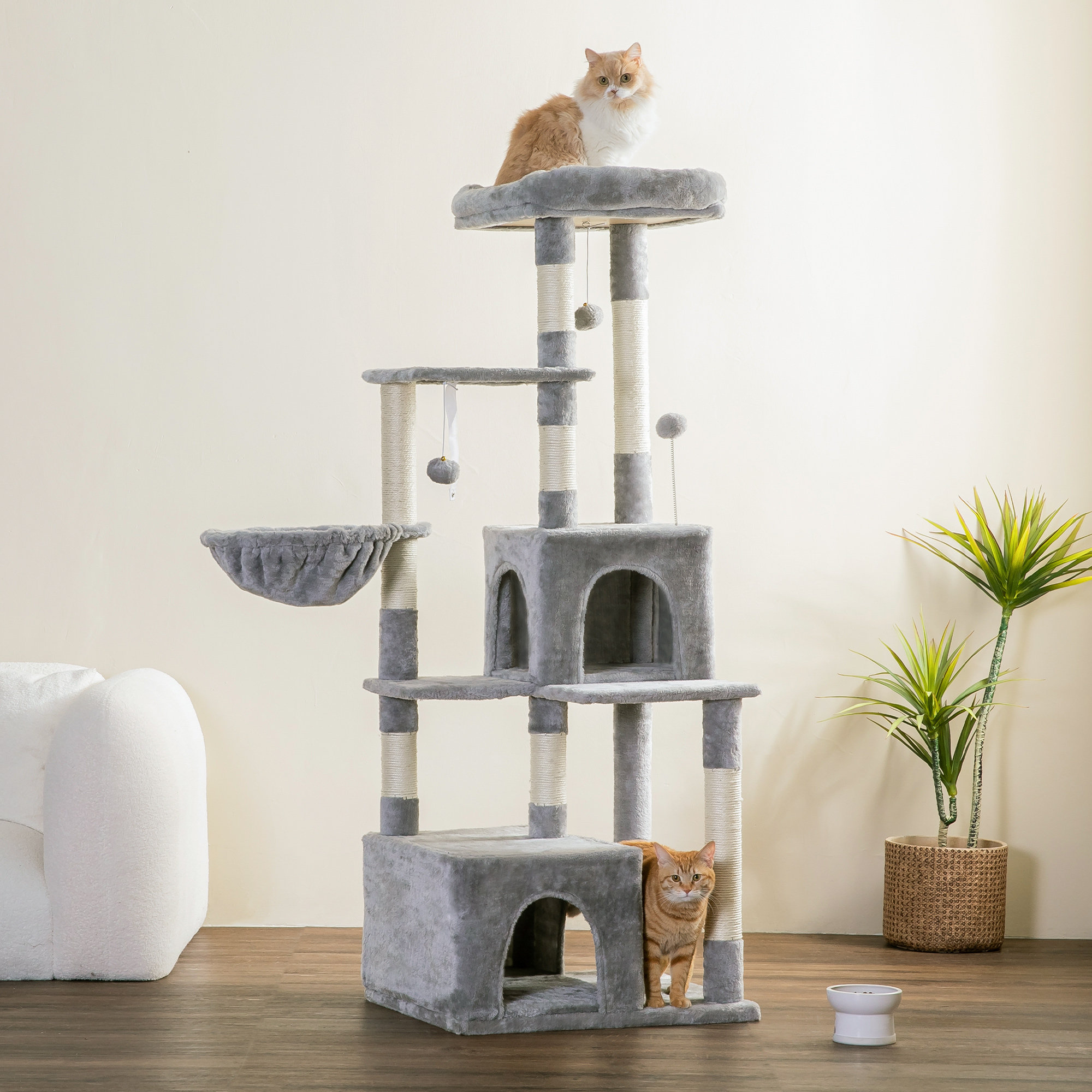 Tucker Murphy Pet™ Arbre à chat 63 "Demitrios et avis - Wayfair Canada
