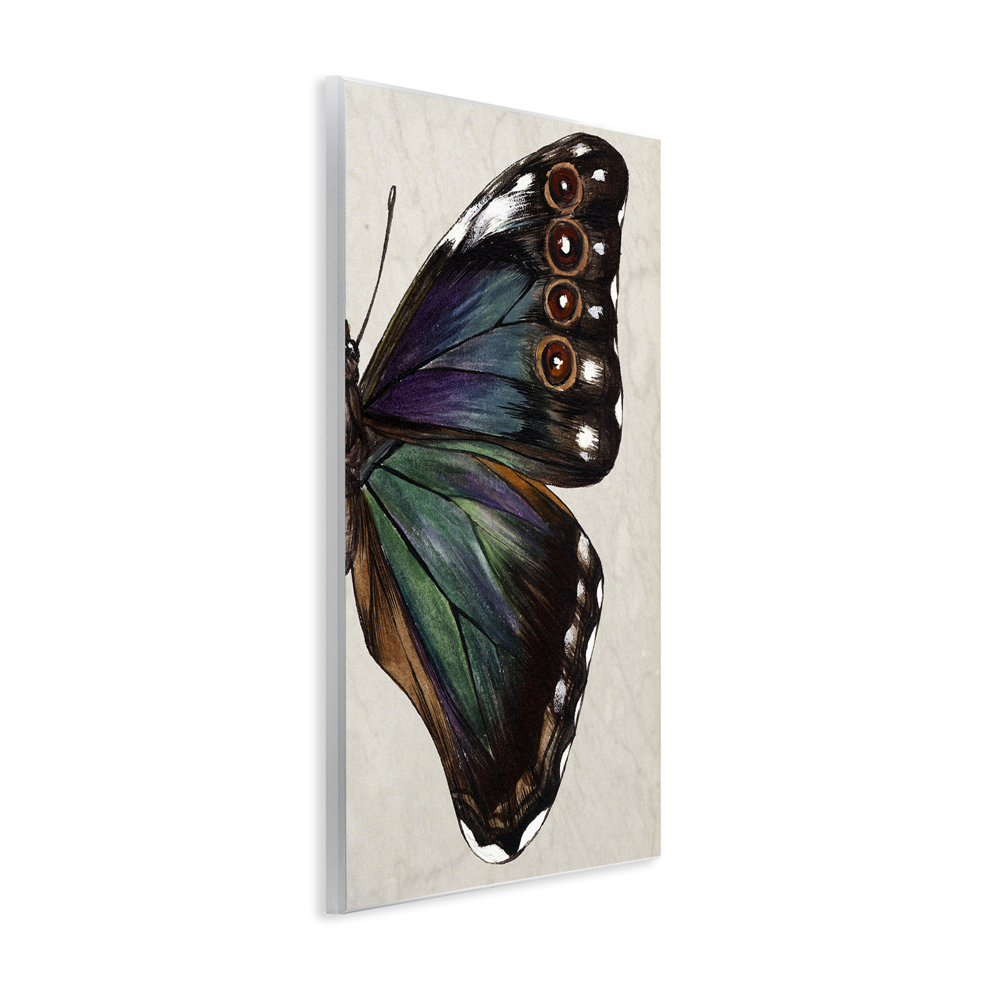 Winston Porter Classic Butterfly Wing Wall Plaque Art by Melissa Wang ...