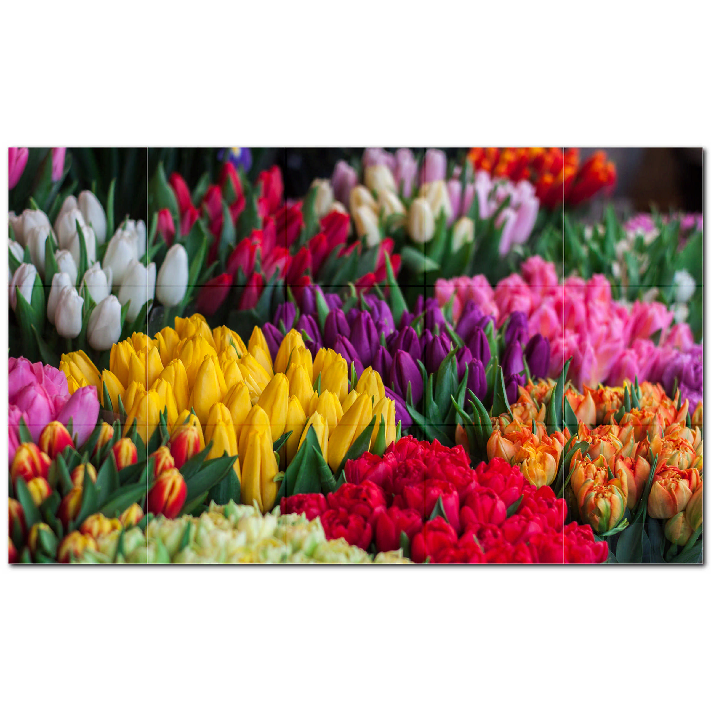 Picture-Tiles.com 21.25" x 12.75" Ceramic Spring Photo Decorative Mural ...