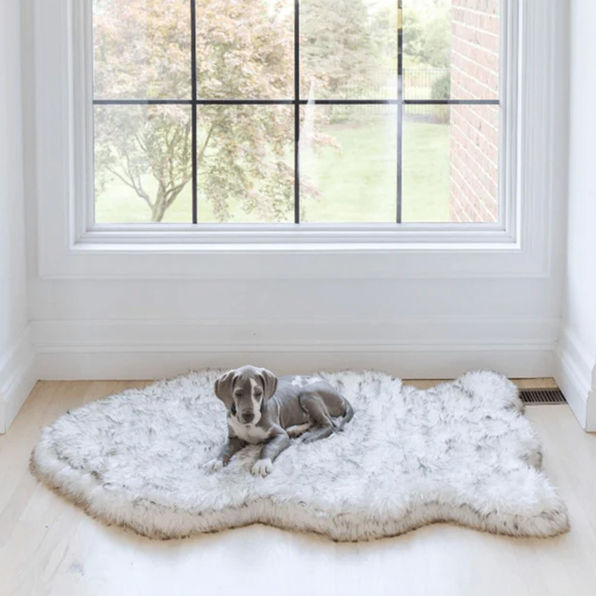 Paw Brands Puprug Faux Fur Orthopedic Dog Mat & Reviews | Wayfair