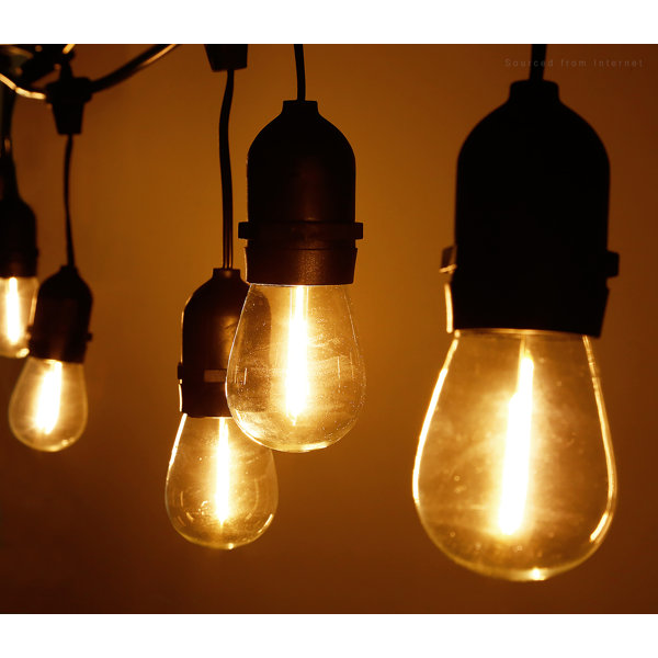 Arlmont & Co. 50ft Outdoor String Lights Commercial Great Weatherproof ...