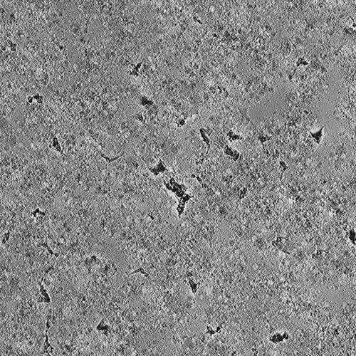 ARARAT-9 Sample | Birch Lane