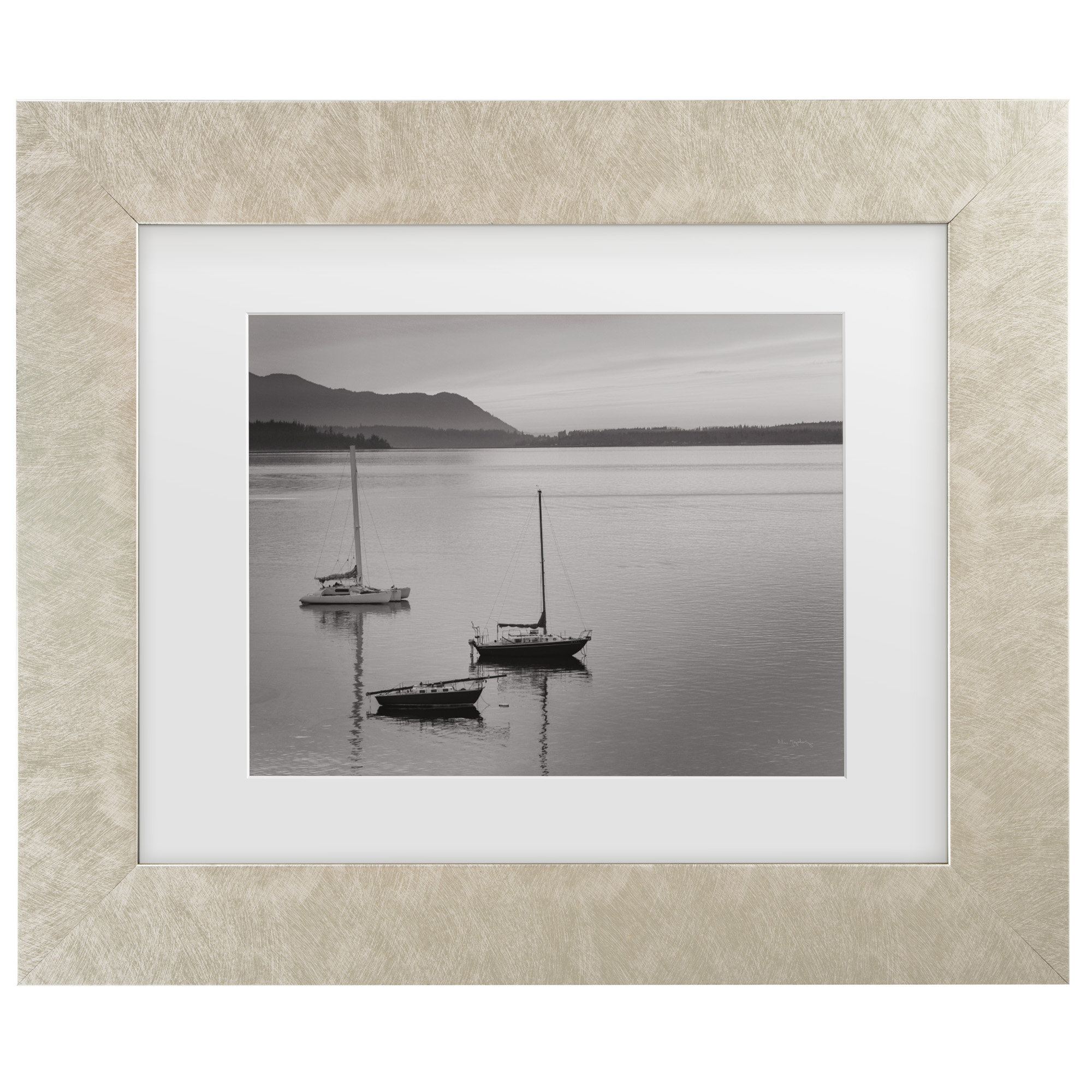 Trademark Canvas Art Bellingham Bay BW Framed On Canvas by Alan ...
