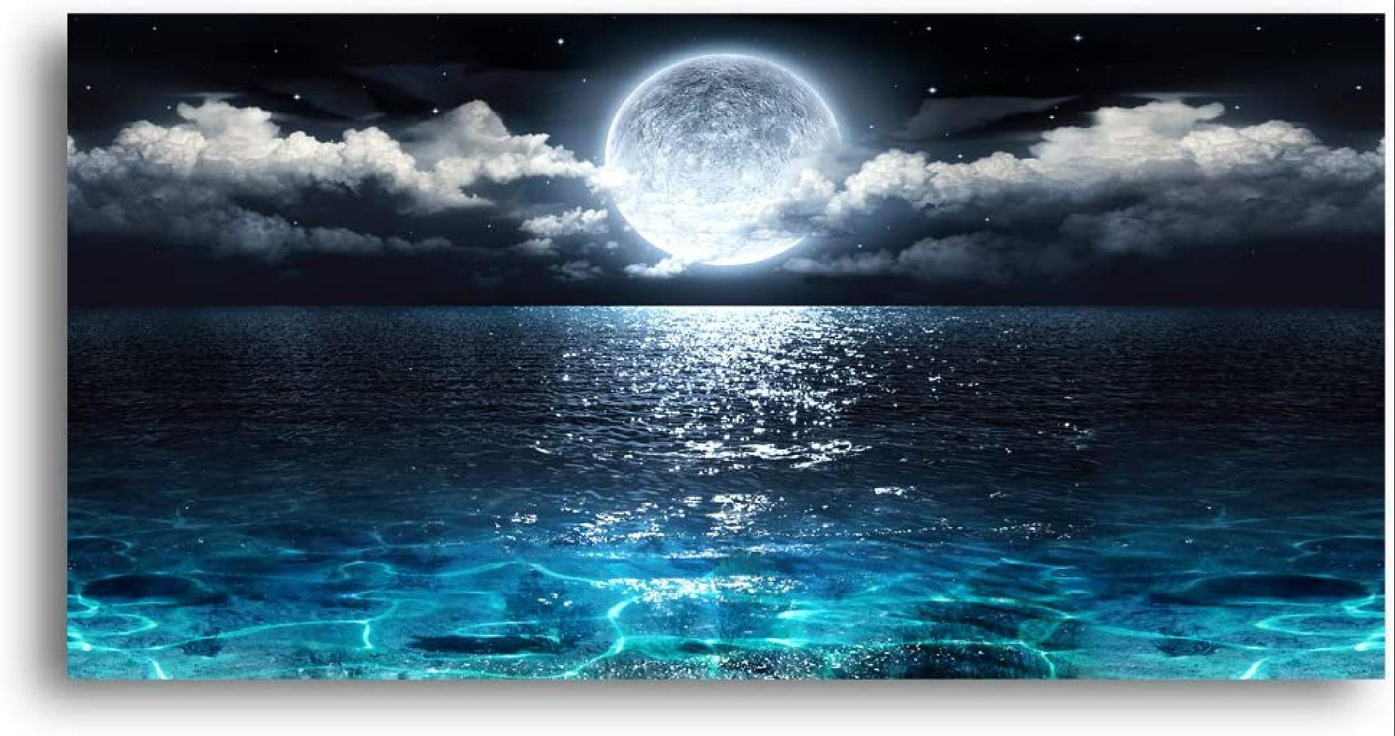 zhiwumaoyi Ocean and Moon - Wrapped Canvas Graphic Art | Wayfair