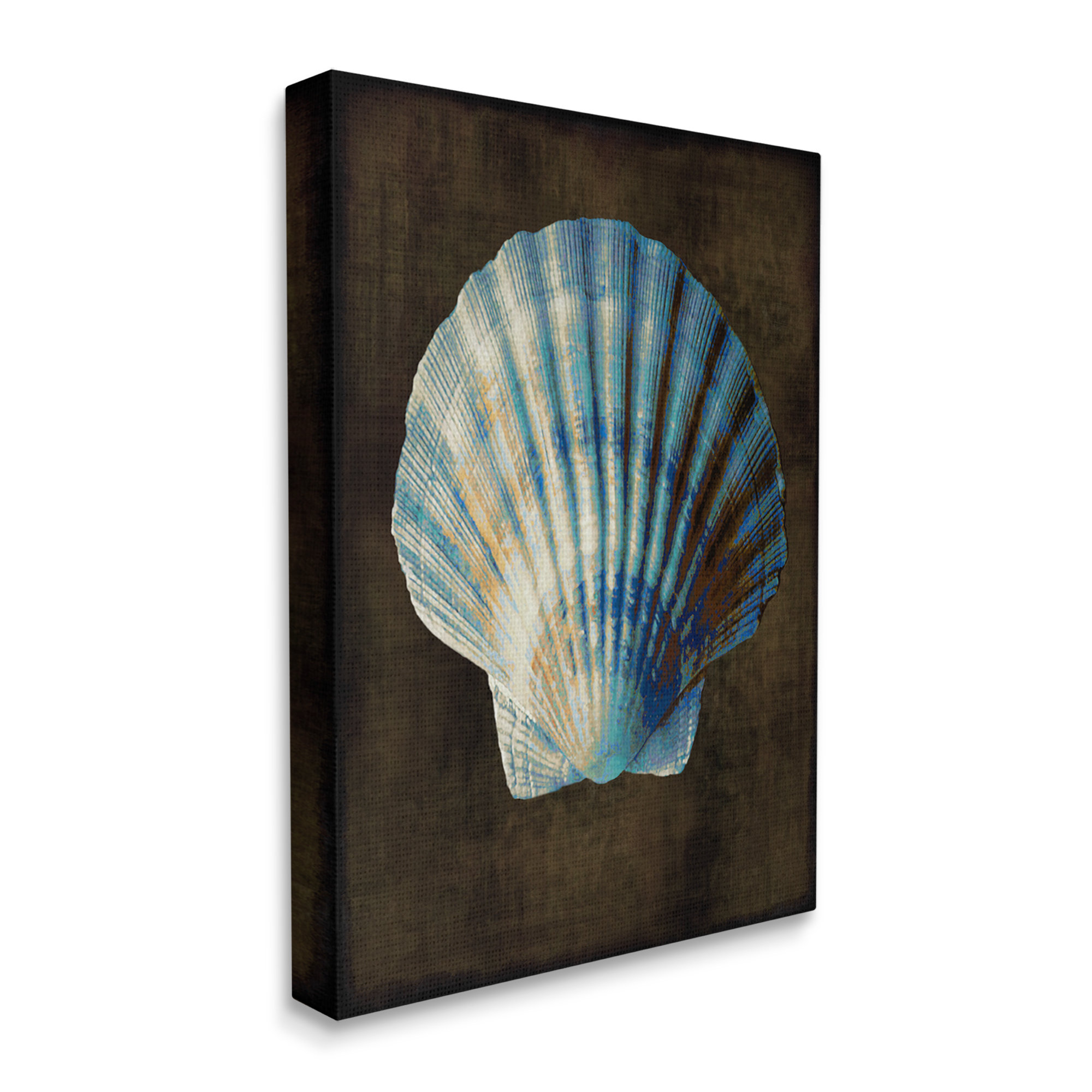 Highland Dunes Dark Clam Shell Canvas Wall Art by Caroline Kelly ...