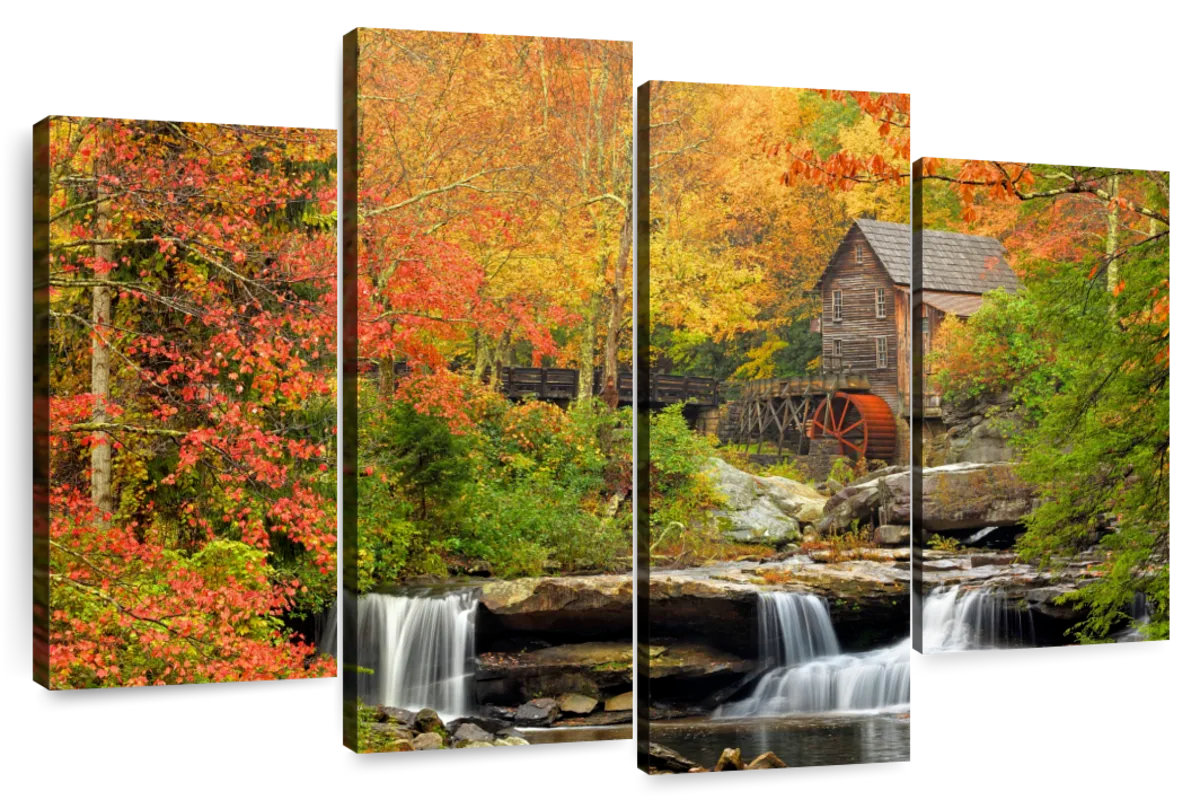 Millwood Pines Alvord Mill Autumn Splendor | Wayfair