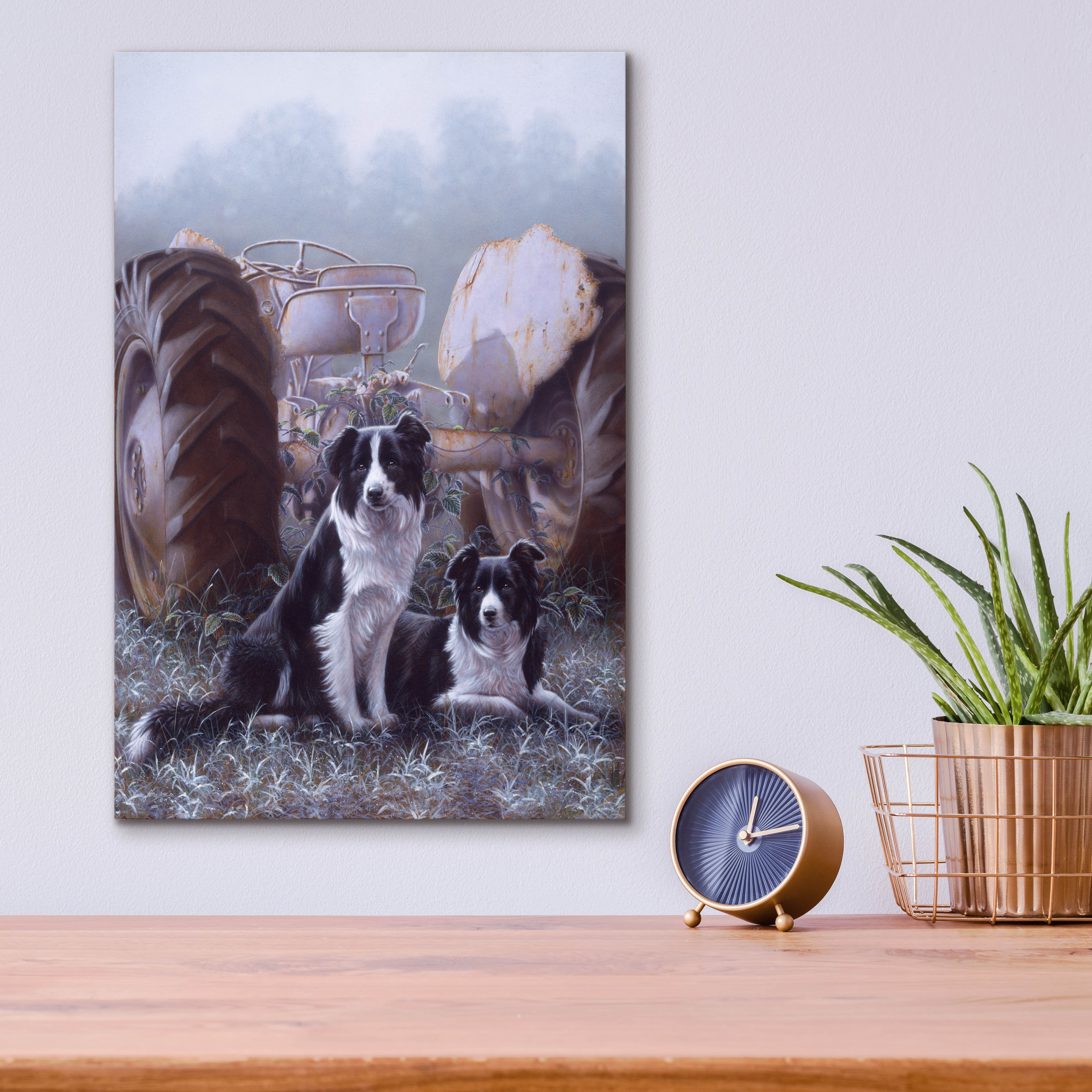 Winston Porter 'Border Collies Heroes Of The Hills' by John Silver, Acrylic Glass Wall Art | Wayfair