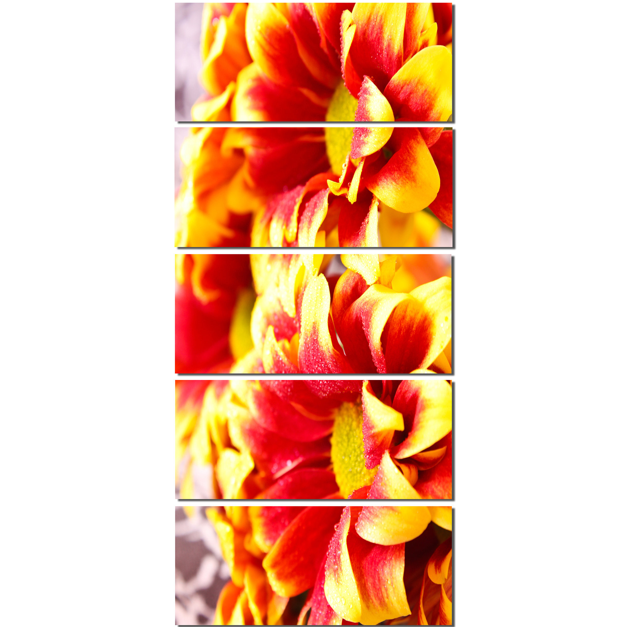 Design Art 'Red Yellow Flower Background Photo' 5 Piece Photographic ...