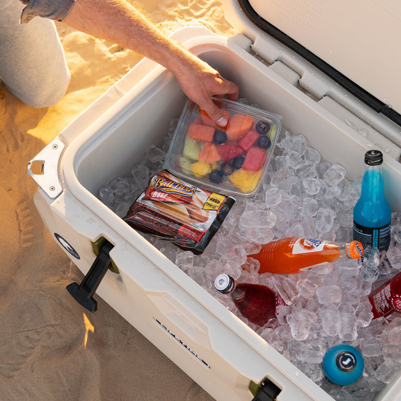 Lifetime 65 Quarts Ice Chest in Brown & Reviews | Wayfair