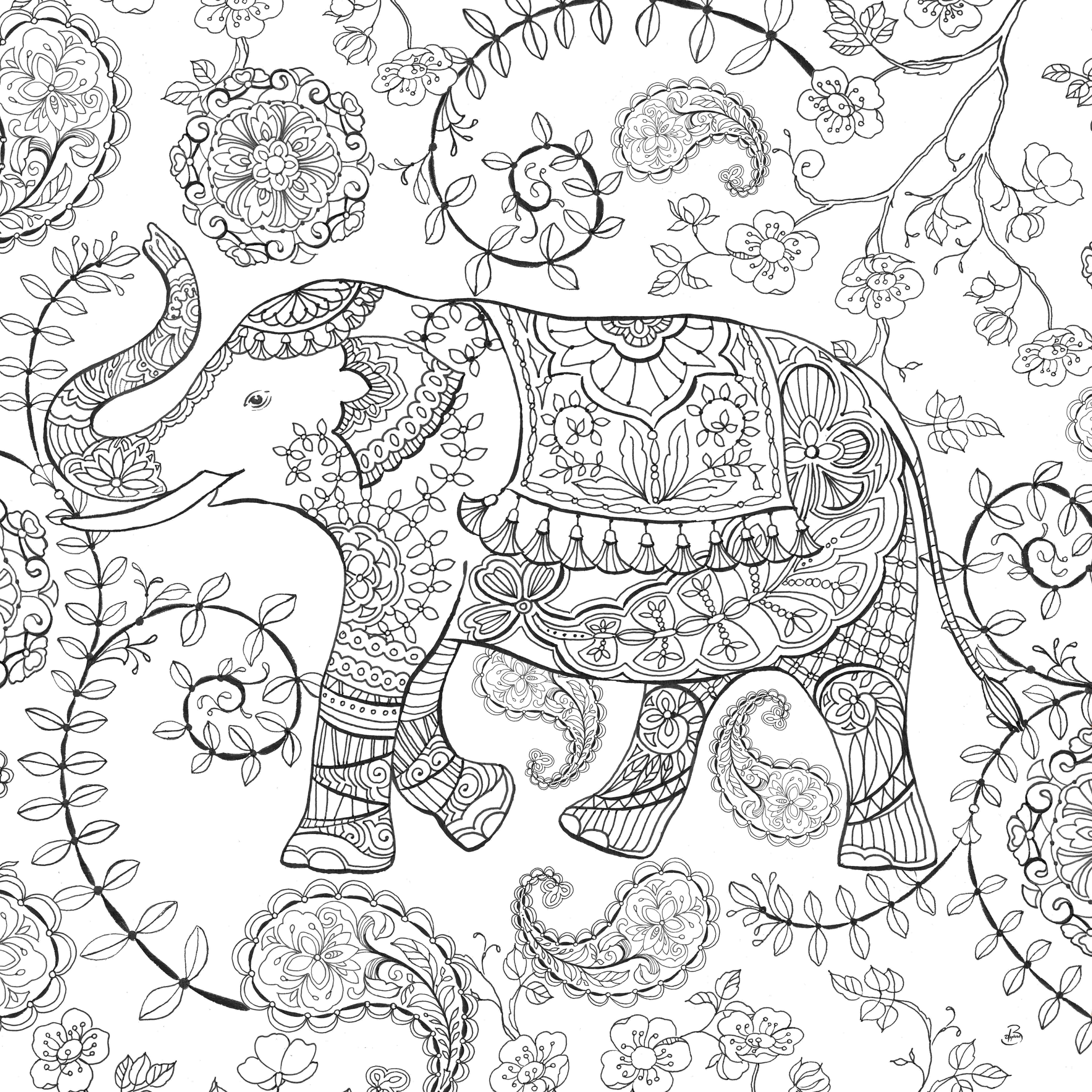 Bungalow Rose Color My World Elephant II Square Black/White | Wayfair