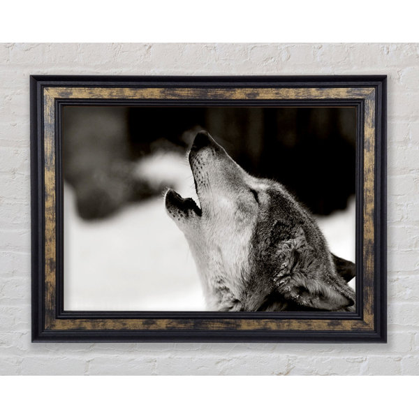 Bright Star Wolf Howl - Single Picture Frame Print | Wayfair.co.uk
