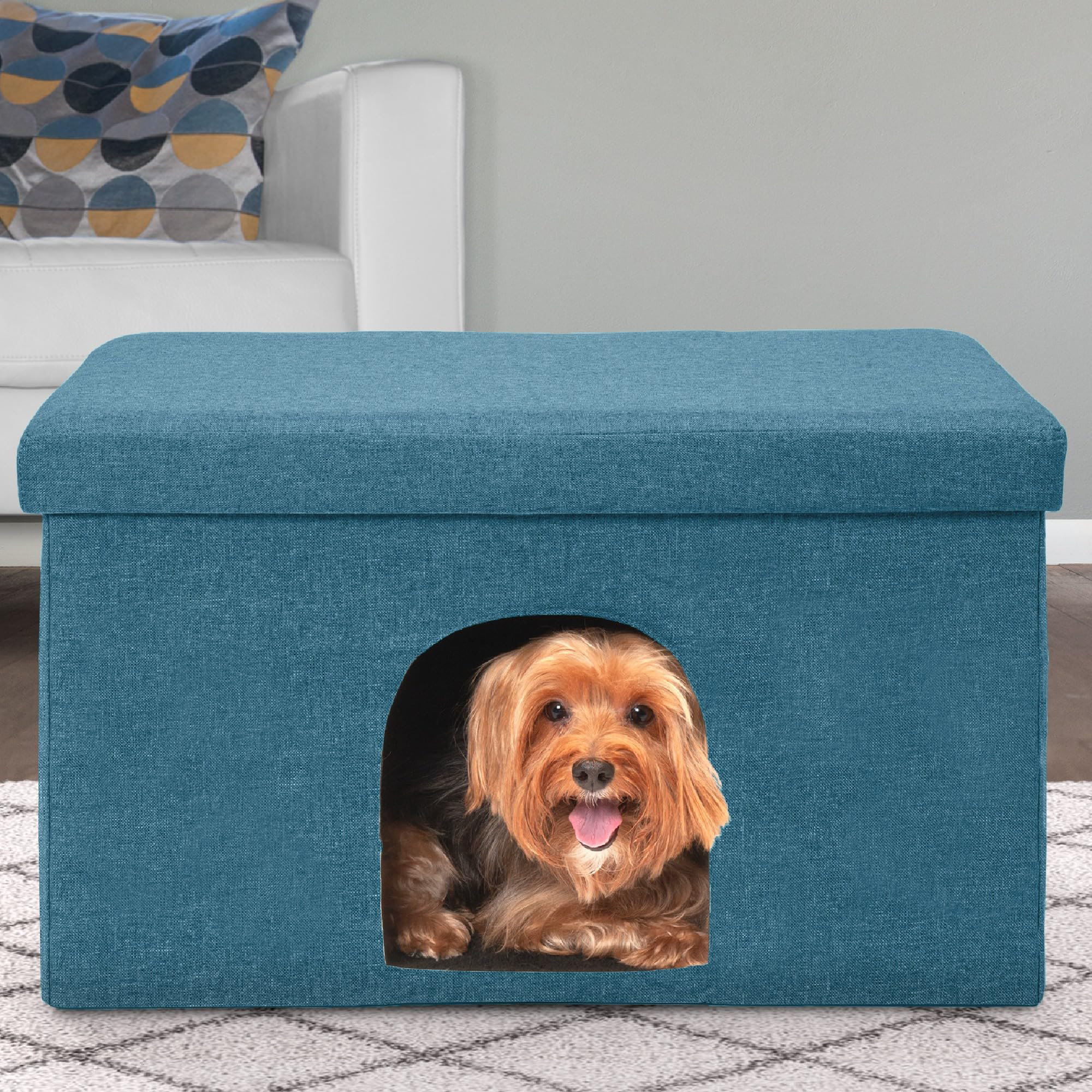 Archie & Oscar™ Pet House for Indoor Cats & Medium/Small Dogs - Wayfair ...