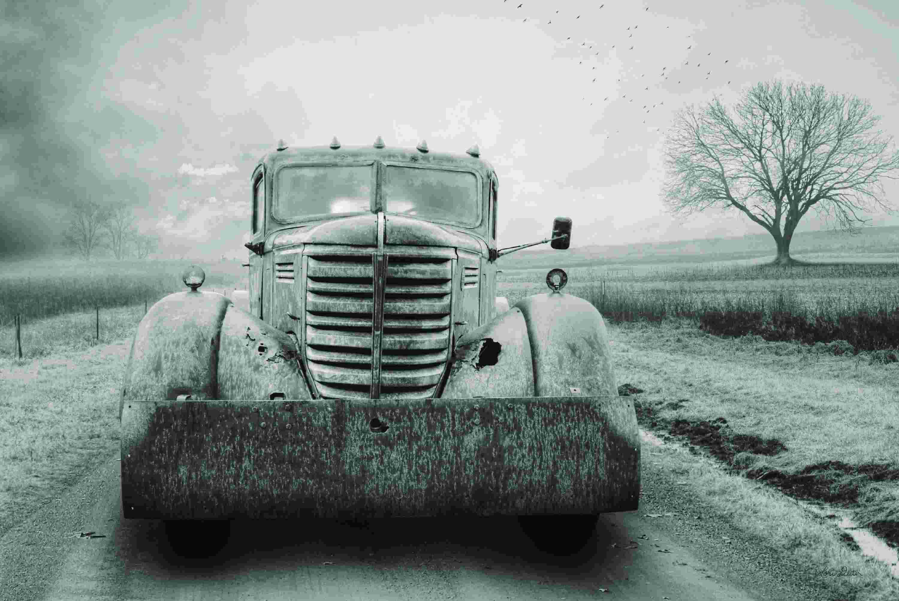 Gracie Oaks Rustic Charm VI | Wayfair