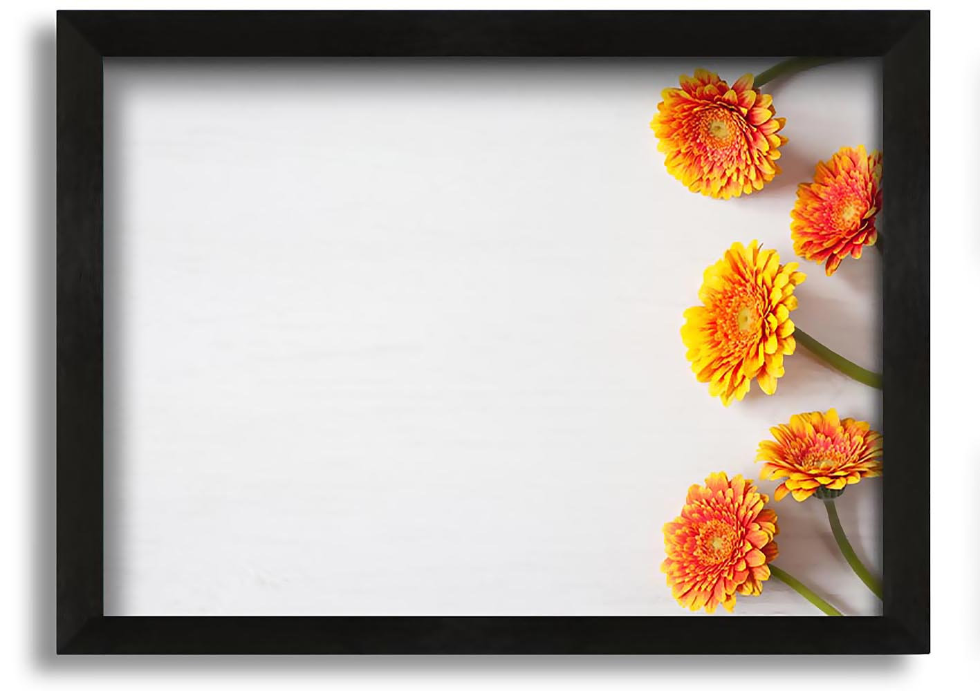 Brayden Studio Orange Gerberas Laid out - Picture Frame Photograph on ...