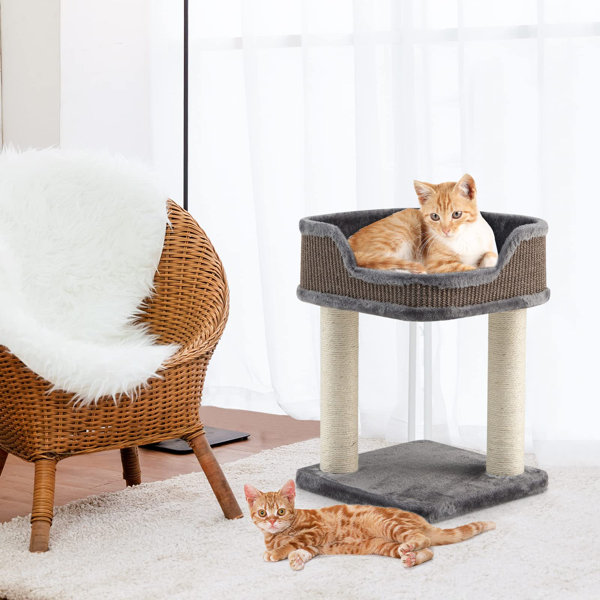 Archie & Oscar Dania Cat Perch | Wayfair.co.uk