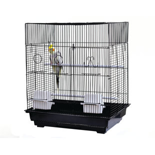 Table Top Bird Cages You'll Love | Wayfair