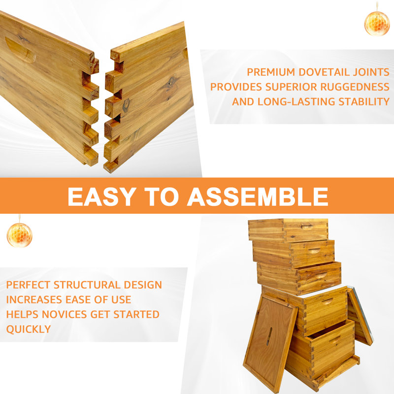 Millwood Pines Langstroth Beehive Wooden Box Kit With Waxed Boxes, 2 ...