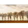 Alpen Home Painted Spindly Treeline - Wrapped Canvas Painting | Wayfair ...